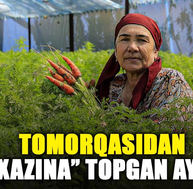 Томорқасидан "хазина" топган аёл - zarnews.uz